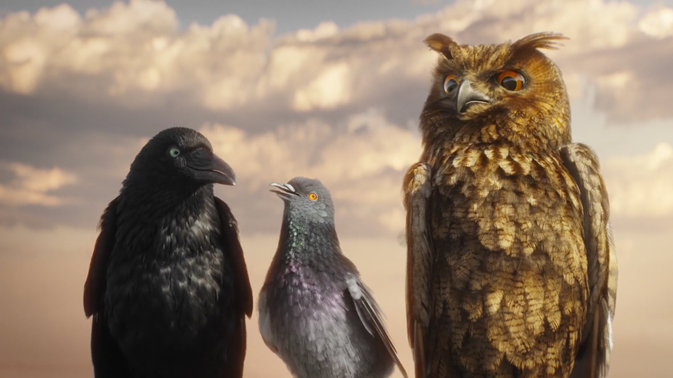 Sehsucht: Buzzed Birds and Beautiful Plumage | STASH MAGAZINE : Motion ...