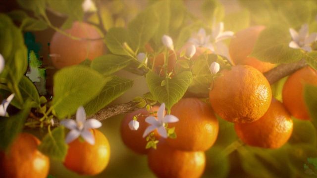 Is This the Most Beautiful Orange Juice Ad Ever? - Motion design ...