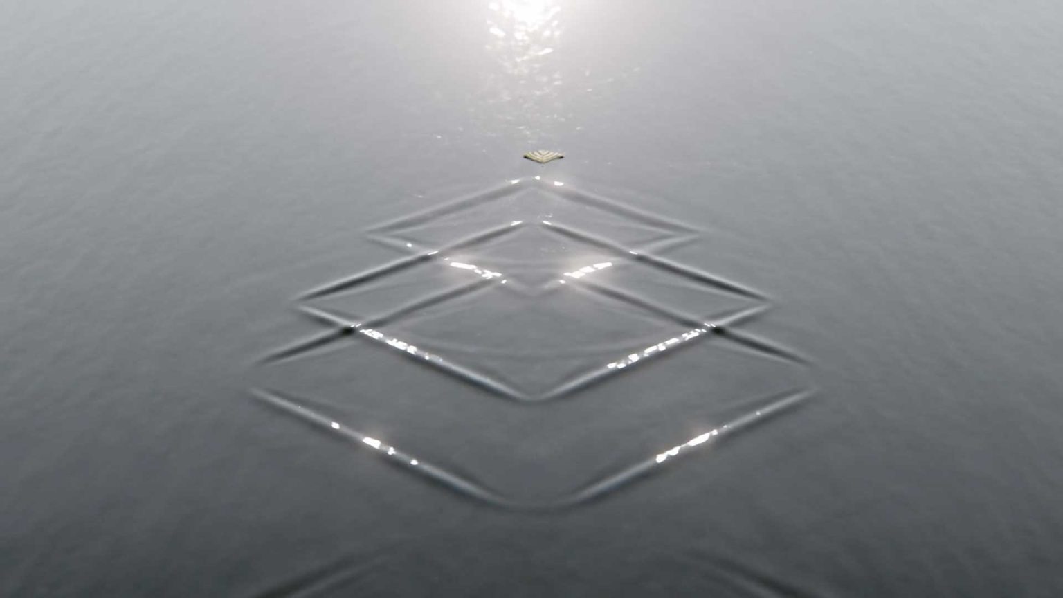Six N. Five Squares Up to Nature in "Species" Short Film - Motion ...