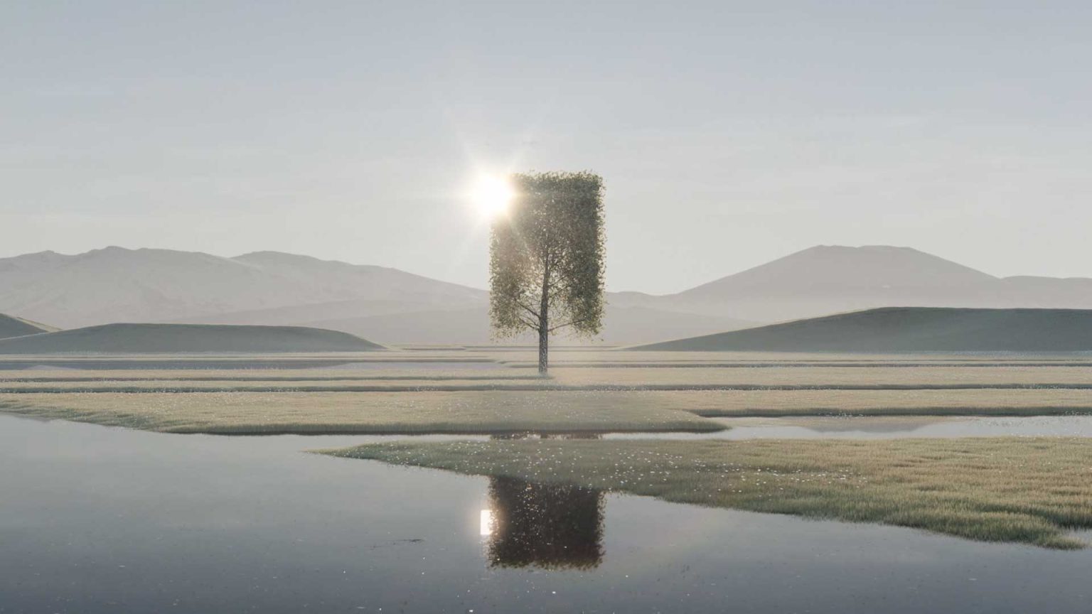 Six N. Five Squares Up to Nature in "Species" Short Film - Motion ...