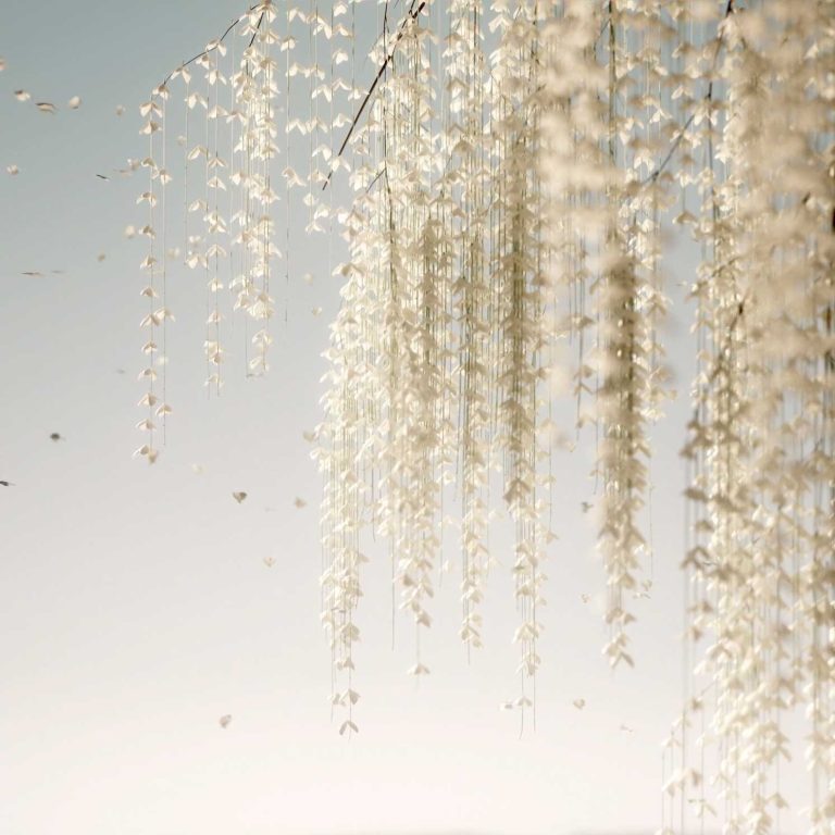 Six N. Five Discovers "New Life" in Elegant CG Short Film - Motion ...