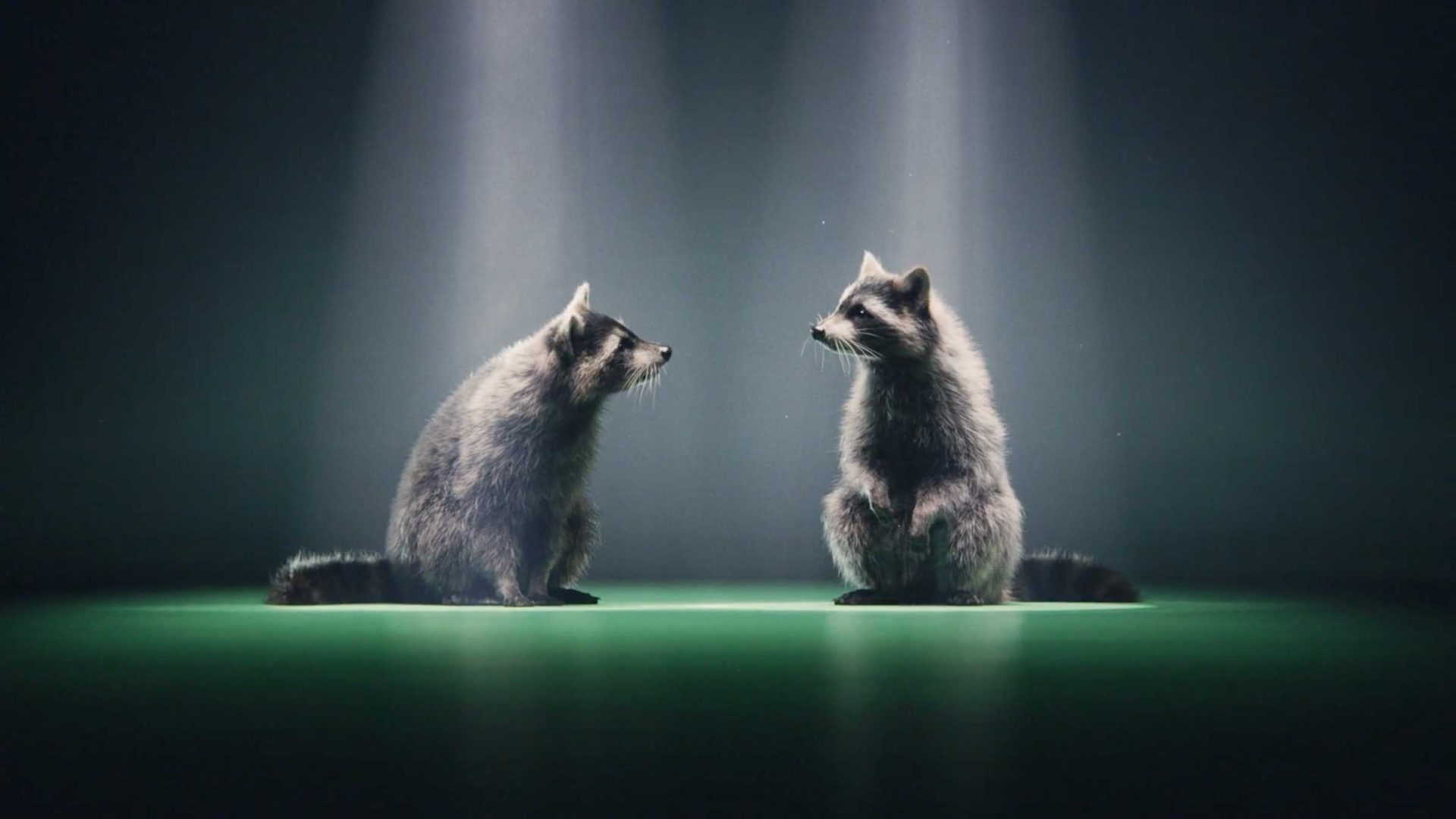 Dom&Nic and The Mill Go a Little Nuts for Škoda - Motion design - STASH ...