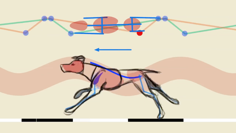 Felix Sputnik: the Secrets of Quadruped Locomotion | STASH MAGAZINE ...