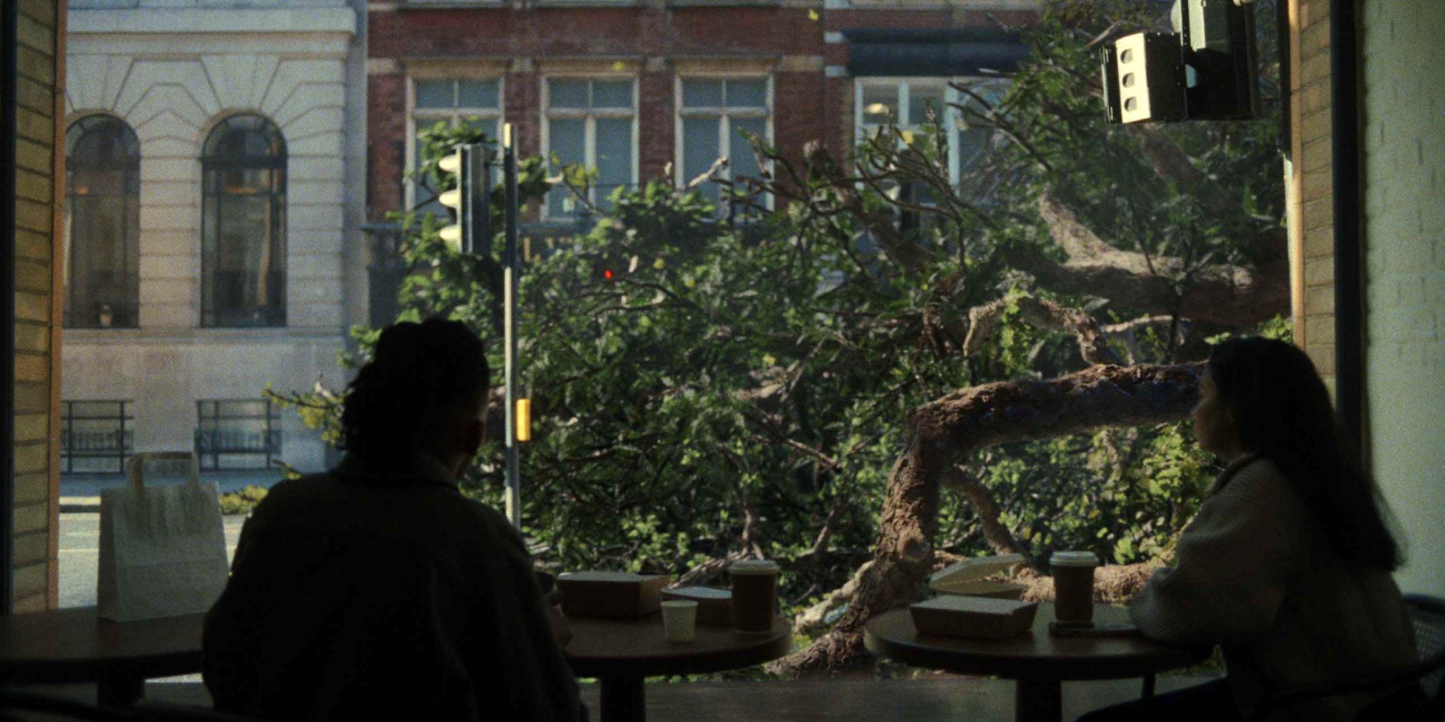 Studio Birthplace Sees the Forest and the Trees in Canopy's Pack4Good Spot - Motion design ...