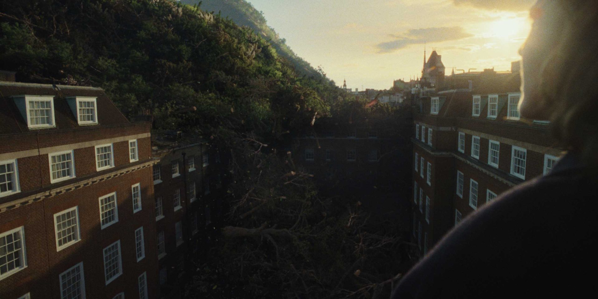 Studio Birthplace Sees the Forest and the Trees in Canopy's Pack4Good Spot - Motion design ...