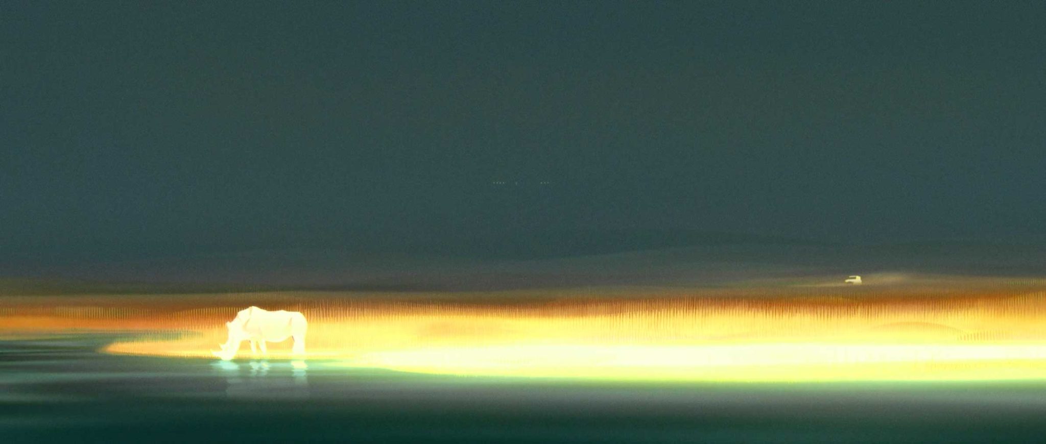 Conor Whelan & Giant Ant Lament "The Last White Rhino" - Motion design ...