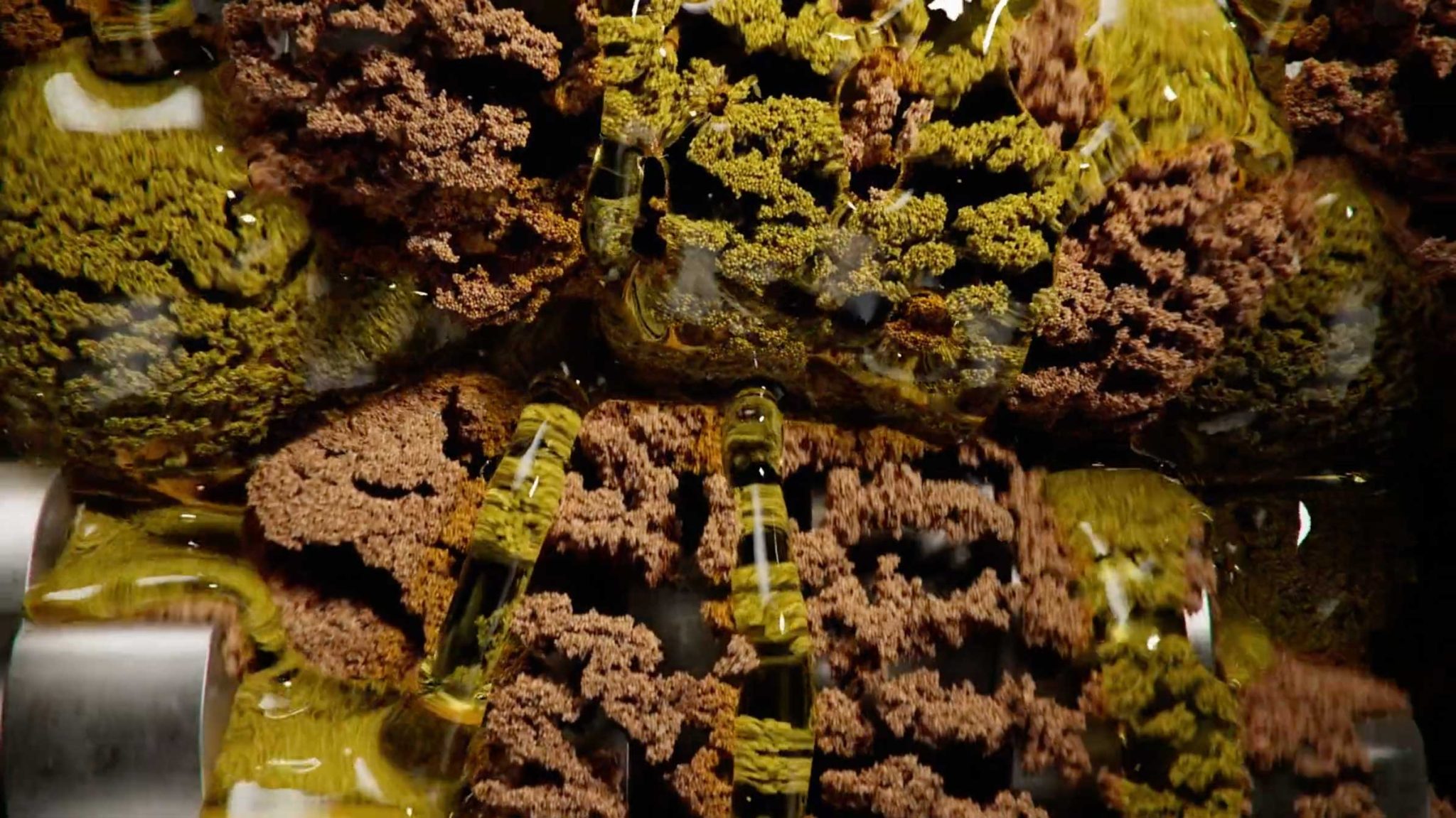 sub.stnc® Peels Back "The Process" for Lignin Industries - Motion ...