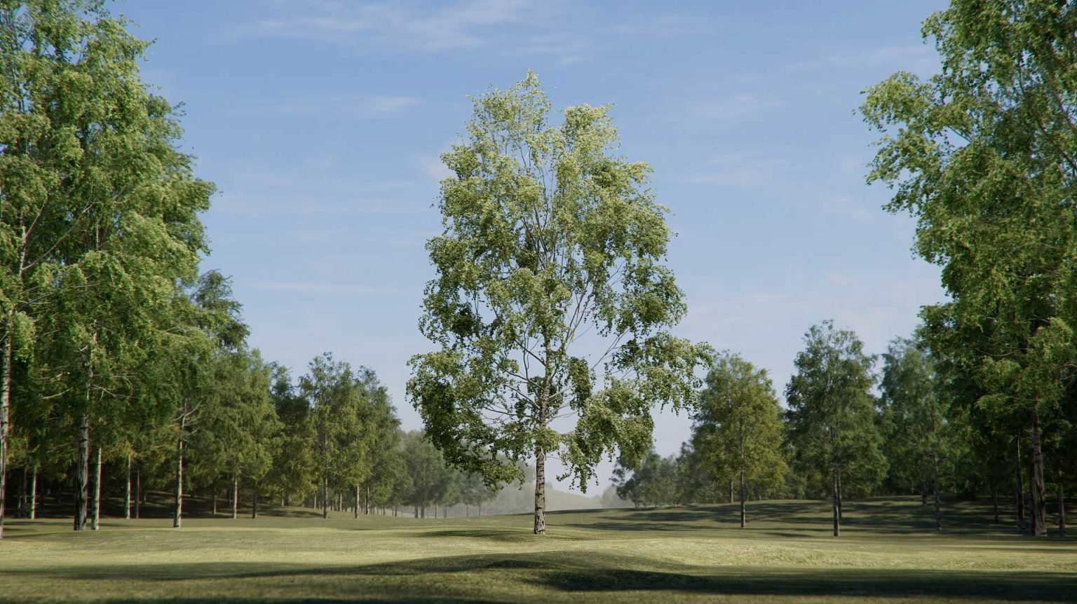 sub.stnc® Peels Back "The Process" for Lignin Industries - Motion ...