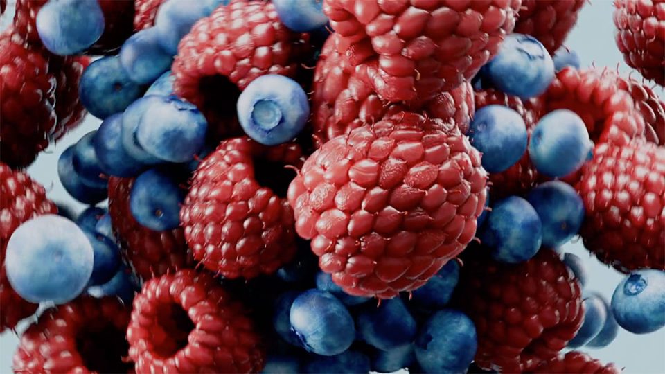Timeline Nutrition Product Film by Sebastian Helene - Motion design ...