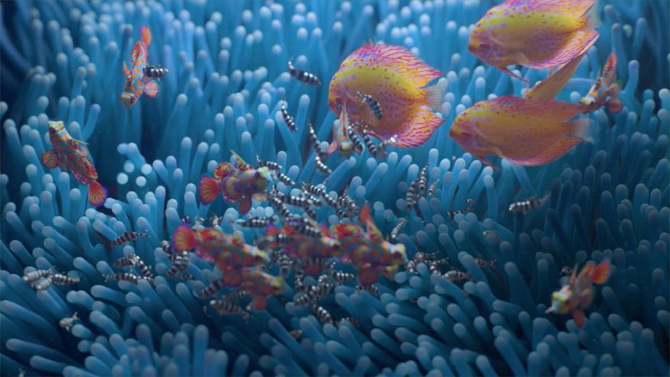 TyFlow "Fish Schools" R&D Compilation by Krzysztof Hrycak - Motion ...