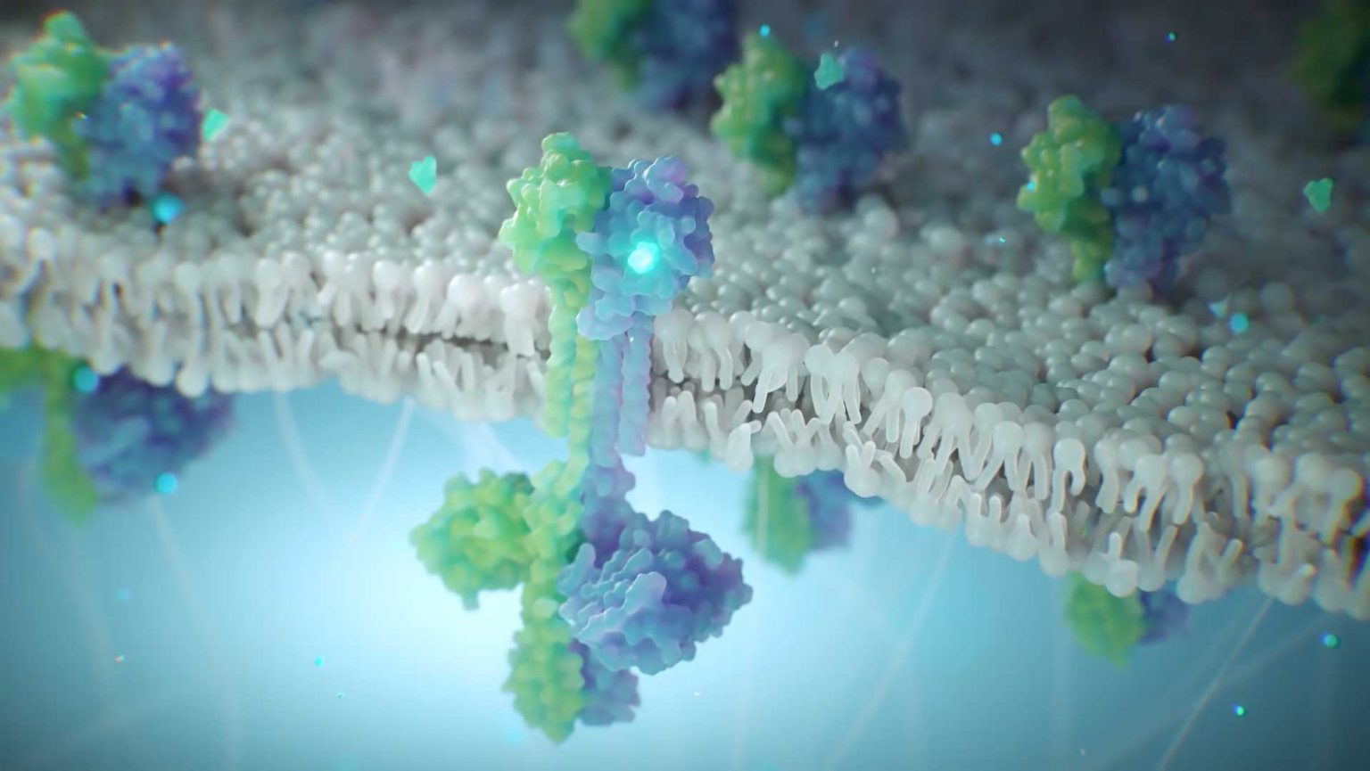 Vessel Studios Elevates the Art and Science of Medical Animation ...