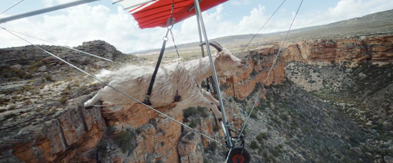 The Fur Flies in New Virgin Media Spot by Sam Brown and Untold Studios ...
