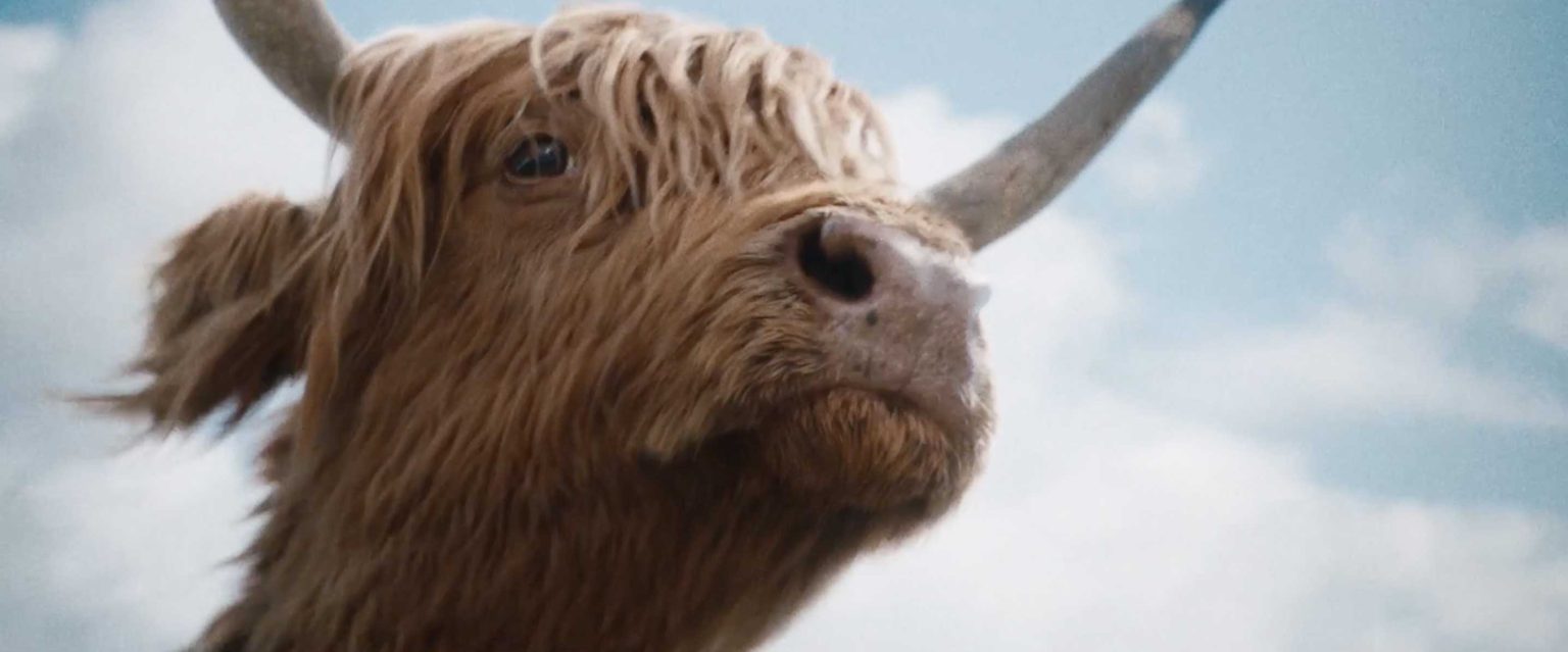 Virgin Media WiFi Hits the Road Courtesy of Jeff Low and Untold Studios ...