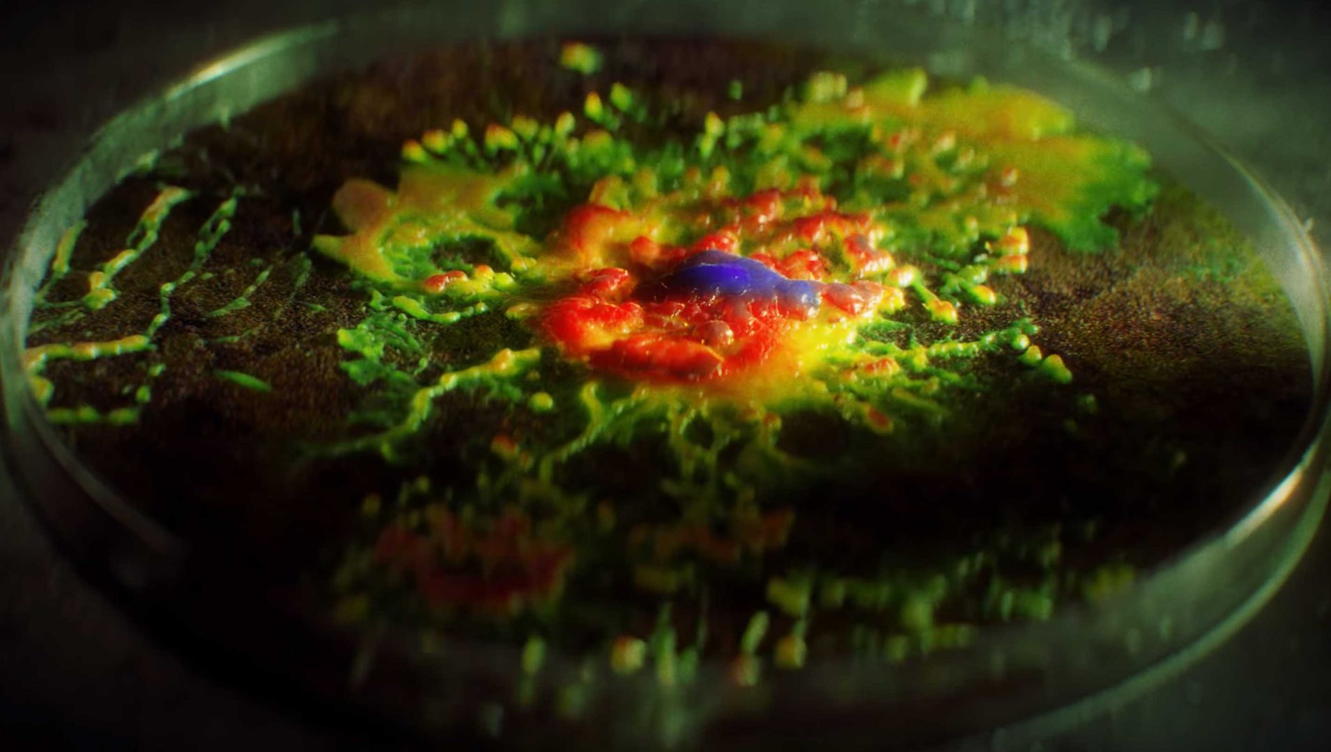 A Future AI Searches for Identity in "WAI-000" Short Film - Motion ...