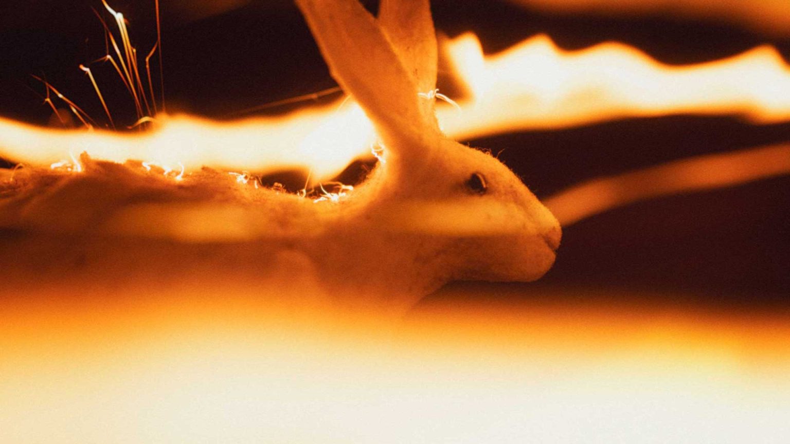 Stop-Motion Fire Engulfs “A Flammable Planet” for WWF - Motion design ...