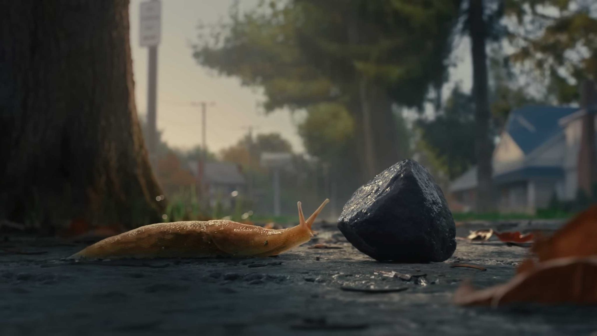 Martin De Thurah & BaconX Feeling “Sluggish” in New WealthSimple Spot ...