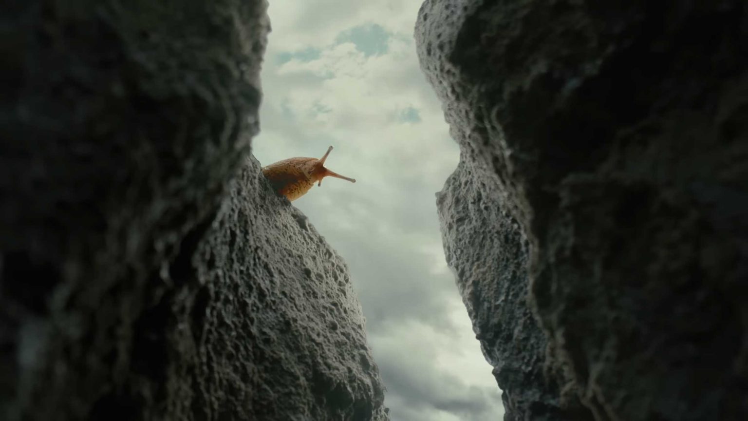 Martin De Thurah & BaconX Feeling “Sluggish” in New WealthSimple Spot ...