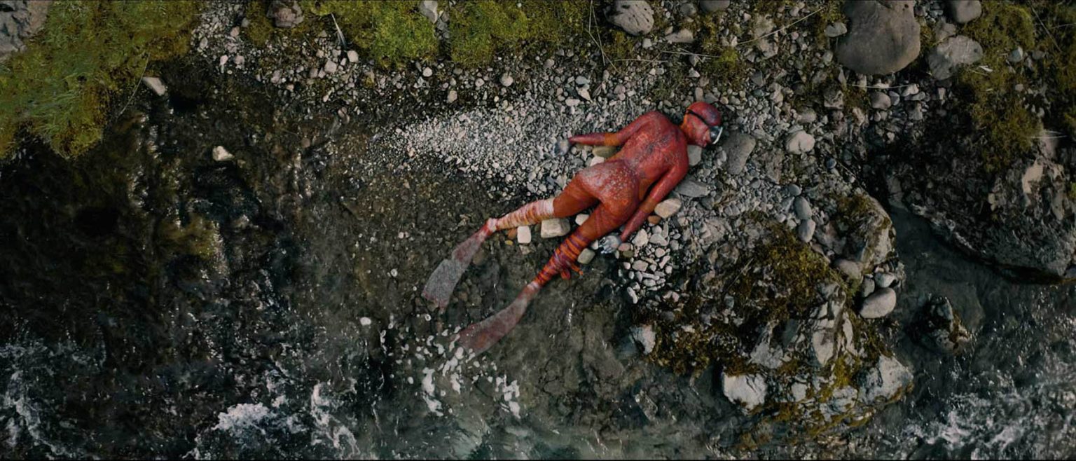 Behind the Scenes With Karni and Saul on Their Extraordinary "Wild ...