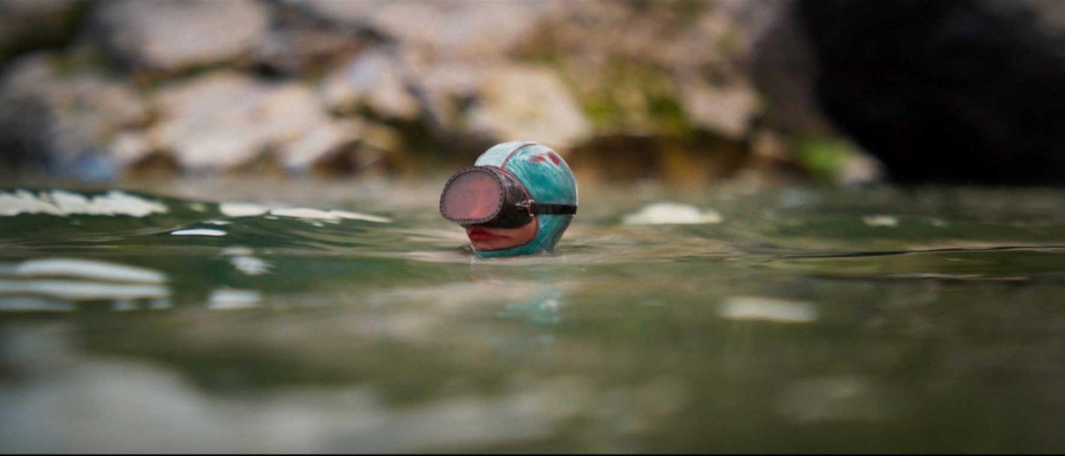 Behind the Scenes With Karni and Saul on Their Extraordinary "Wild ...