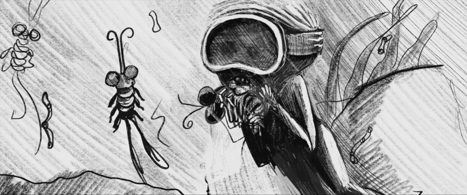 Behind the Scenes With Karni and Saul on Their Extraordinary "Wild ...