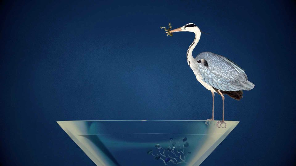 Huge Designs Enters the "Wilderness" for Amazon Studios - Motion design ...