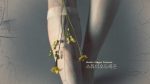 Xinyue Gu Explores A Woman's Loss of Self in Spec TV Titles - Motion design - STASH : Motion ...