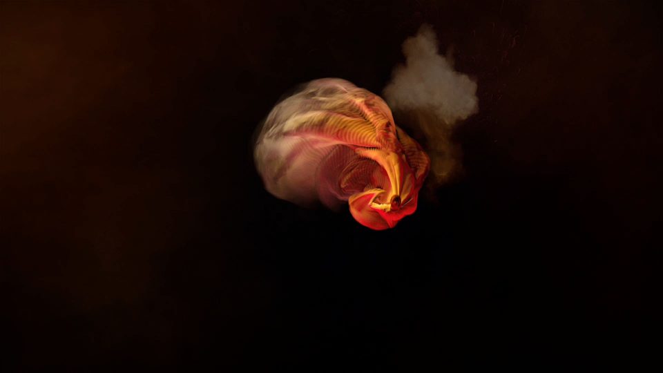 LSO "Dancing on the Edge of a Volcano" : Motion design – STASH
