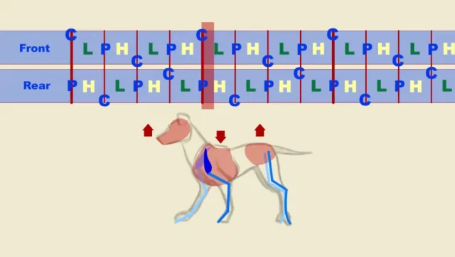 Felix Sputnik: the Secrets of Quadruped Locomotion | STASH MAGAZINE ...